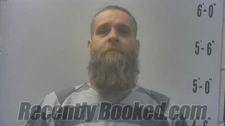 Recent Booking / Mugshot for DAVID ALLAN REEDY in Pulaski County, Indiana