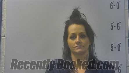 Elizabeth Carol Boyd Mugshot & Arrest Info | Pulaski County, IN