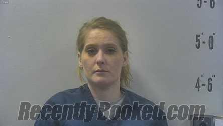 Recent Booking / Mugshot for ELIZABETH MARIE WRIGHT in Pulaski County ...