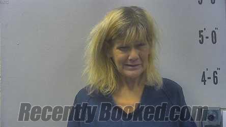 Recent Booking / Mugshot for INGRID SEANA SHAW in Pulaski County, Indiana