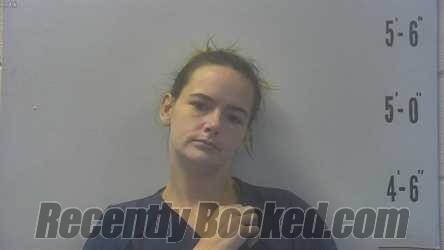 Recent Booking / Mugshot for JESSICA LYNN HOPPER in Pulaski County, Indiana