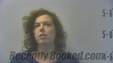 Recent Booking / Mugshot for JAMIE R MILLER in Pulaski County, Indiana