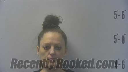 Recent Booking / Mugshot for MELISSA NICOLE MATLON in Pulaski County ...
