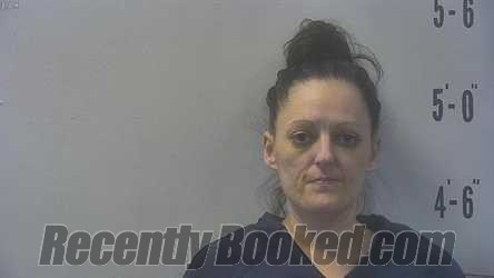 Recent Booking / Mugshot for MELISSA NICOLE MATLON in Pulaski County ...