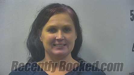 Michelle Lee Rector Mugshot & Arrest Info | Pulaski County, IN