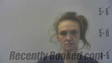 Recent Booking / Mugshot for PATRICIA MARIE HIPP in Pulaski County, Indiana