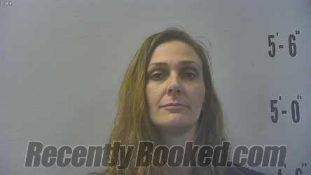 Recent Booking / Mugshot for RACHAEL LINDSEY HILTON in Pulaski County ...