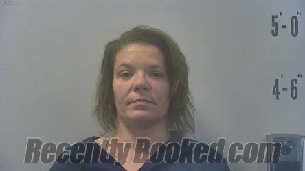 Recent Booking / Mugshot for RENEE J OLIVER in Pulaski County, Indiana