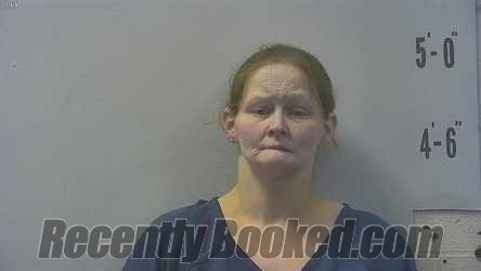 Recent Booking / Mugshot for RACHEL SHERRY LYNN WOLFE in Pulaski County ...