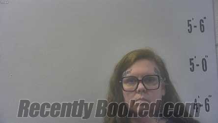 Recent Booking / Mugshot for STEPHANIE FUGATE in Pulaski County, Indiana