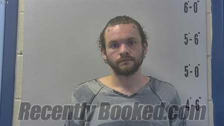 Recent Booking / Mugshot for WADE KALEB TEX WATSON in Pulaski County ...