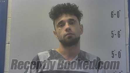 Recent Booking / Mugshot for ZACHARY DAVID ROE in Pulaski County, Indiana