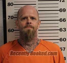 Recent Booking / Mugshot for DERRICK LANE BRYSON in Jackson County ...
