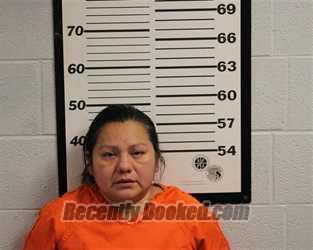 Recent Booking / Mugshot for ANDREA LUCAS FELICIANO in Jackson County ...