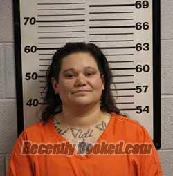 Recent Booking / Mugshot for MICKEY ANN WEBB in Jackson County, North ...