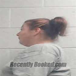 Recent Booking / Mugshot for Sierra Salone Jenkins in Jackson County ...