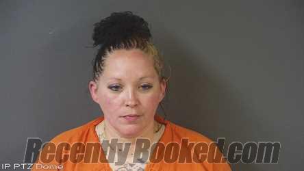 Recent Booking / Mugshot for DANIELLE KAY LUNSFORD in Putnam County ...
