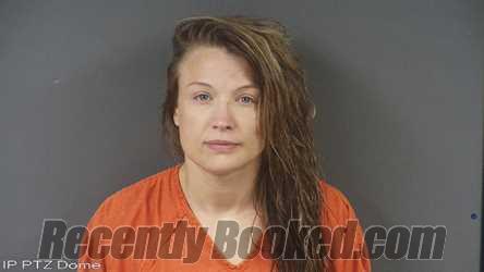 Recent Booking / Mugshot for CHELSEA ROSE GALLAGHER in Putnam County ...