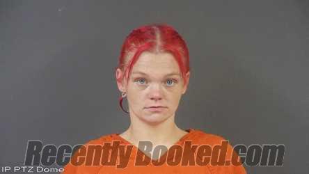 Recent Booking / Mugshot for THERESA DEANN JOHNSON in Putnam County ...