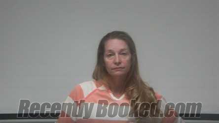 Recent Booking / Mugshot for Jamie L Meddings in Rush County, Indiana