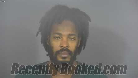 Recent Booking / Mugshot for ROBERT LEE WILLIS JR in St Joseph County ...