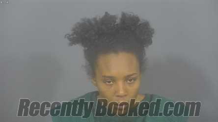 Recent Booking / Mugshot for MACY ALVERNA ALSANDERS in St Joseph County ...