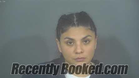 Recent Booking / Mugshot for BRISEDA LISABET GONZALEZ in St Joseph ...