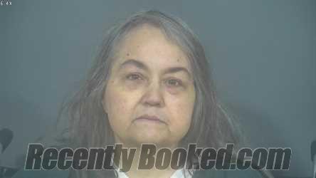 Recent Booking / Mugshot for SANDRA LORENE PITTMAN in St Joseph County ...