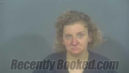 Recent Booking / Mugshot for AMANDA MICHELLE LINN in St Joseph County ...