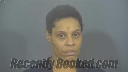 Recent Booking / Mugshot for ERICA JENAE MCLEOD in St Joseph County ...