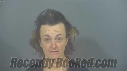 Recent Booking / Mugshot for CHRISTINA LOUISE MILTENBERGER in St Joseph ...
