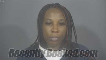 Recent Booking / Mugshot for JOYCE ANN NEAL in St Joseph County, Indiana