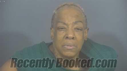 Recent Booking / Mugshot for LISA ANN GUNN in St Joseph County, Indiana