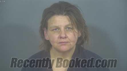 Recent Booking / Mugshot for STACY LYNN JOHNSON in St Joseph County, Indiana