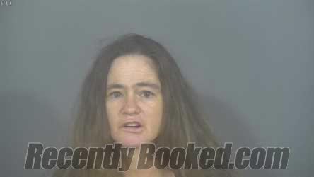 Recent Booking / Mugshot for PAMELA SUE PAVLAK in St Joseph County, Indiana