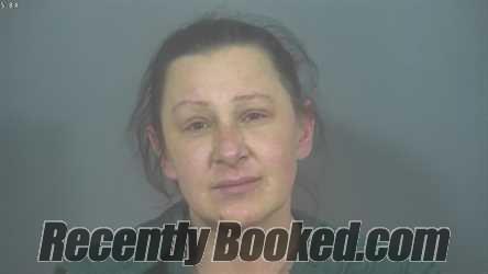 Recent Booking / Mugshot for APRIL LYNN SMITH in St Joseph County, Indiana