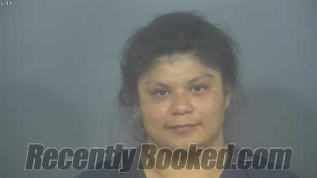 Recent Booking / Mugshot for AMANDA ORTIZ in St Joseph County, Indiana