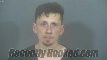 Recent Booking / Mugshot for BRIAN ANTHONY GREGORICH in St Joseph ...