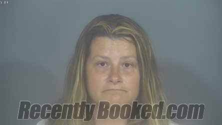 Recent Booking / Mugshot for GIDGET LEE FIELDS in St Joseph County, Indiana