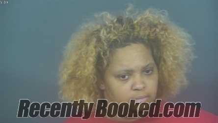 Recent Booking / Mugshot for ERICA ANN HUNTER in St Joseph County, Indiana