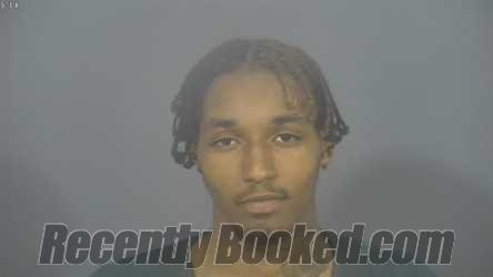 Recent Booking / Mugshot for JAMES LENARD JOHNSON in St Joseph County ...