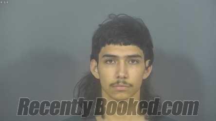 Recent Booking / Mugshot for ALEXAVIRE ANTONIO CABRAL in St Joseph ...