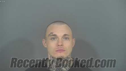 Recent Booking / Mugshot for AARON JOSHUA HAMILTON in St Joseph County ...