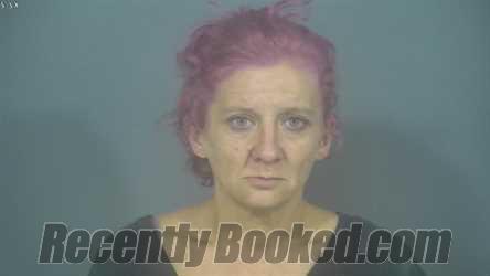 Recent Booking / Mugshot for AMANDA MICHELLE LINN in St Joseph County ...