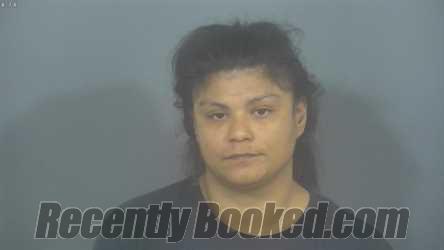 Recent Booking / Mugshot for AMANDA ORTIZ in St Joseph County, Indiana