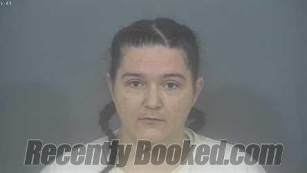 Recent Booking / Mugshot for AMBER NICOLE RHOADS in St Joseph County ...
