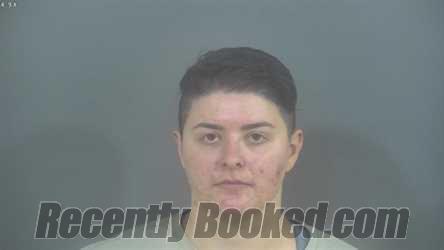 Recent Booking / Mugshot for ARIEL JO THELANDER in St Joseph County ...