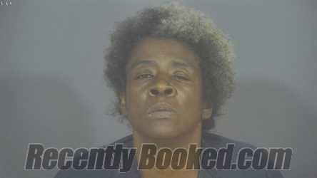 Recent Booking / Mugshot for ANNETTE NMN WEBSTER-SIMS in St Joseph ...