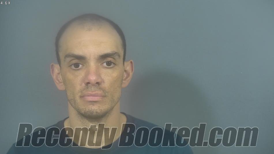 Recent Booking / Mugshot for BRETT MICHAEL HOREIN in St Joseph County ...