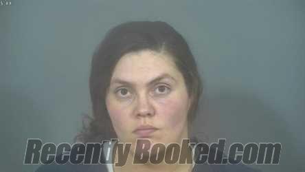 Recent Booking / Mugshot for COURTNEY LEE DAVIS in St Joseph County ...